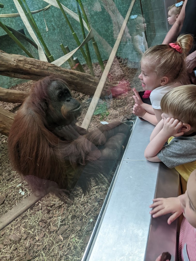 Explore 13 Exciting Kids Attractions in Louisville